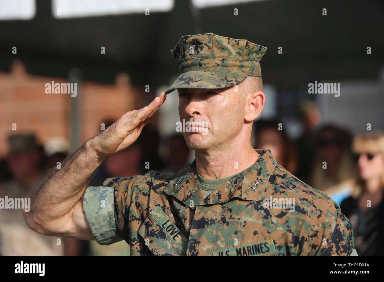 Major General John K. Love salutes the colors as they pass in review at ...