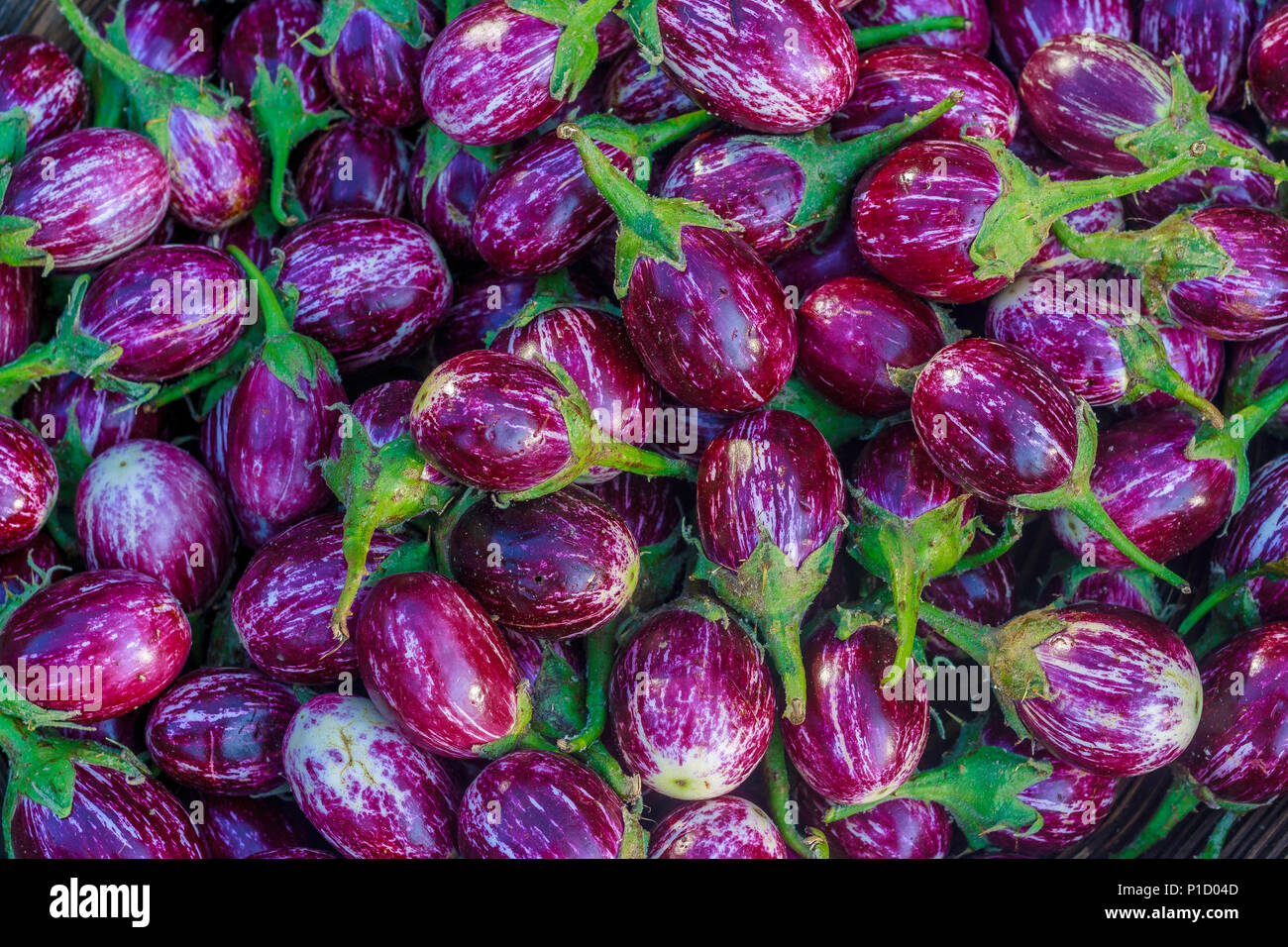 The Close up of purple colored eggplants / brinjal Stock Photo - Alamy