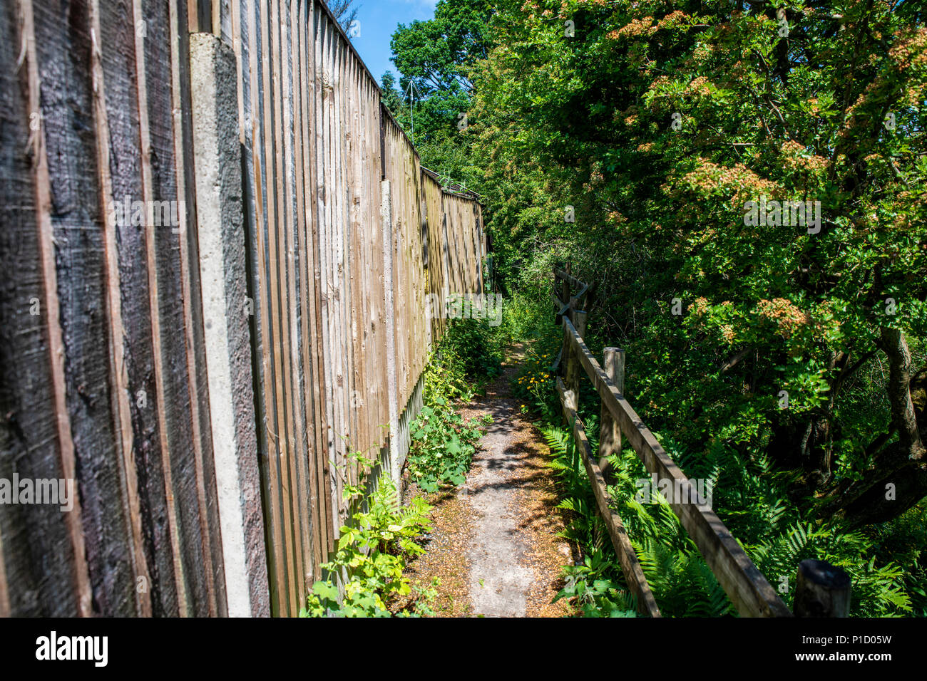 Green belt way hi-res stock photography and images - Alamy