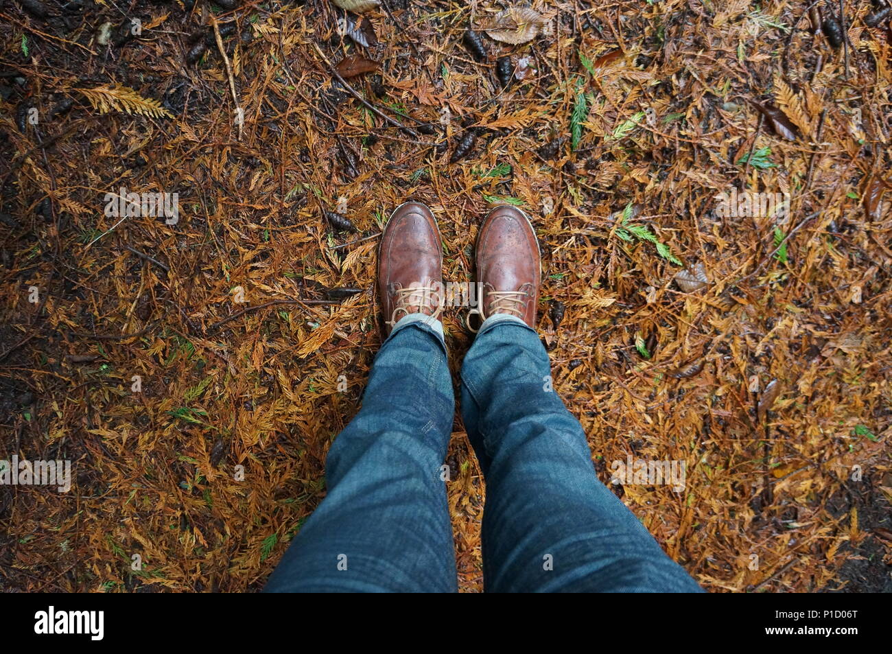 Taking notice hi-res stock photography and images - Alamy