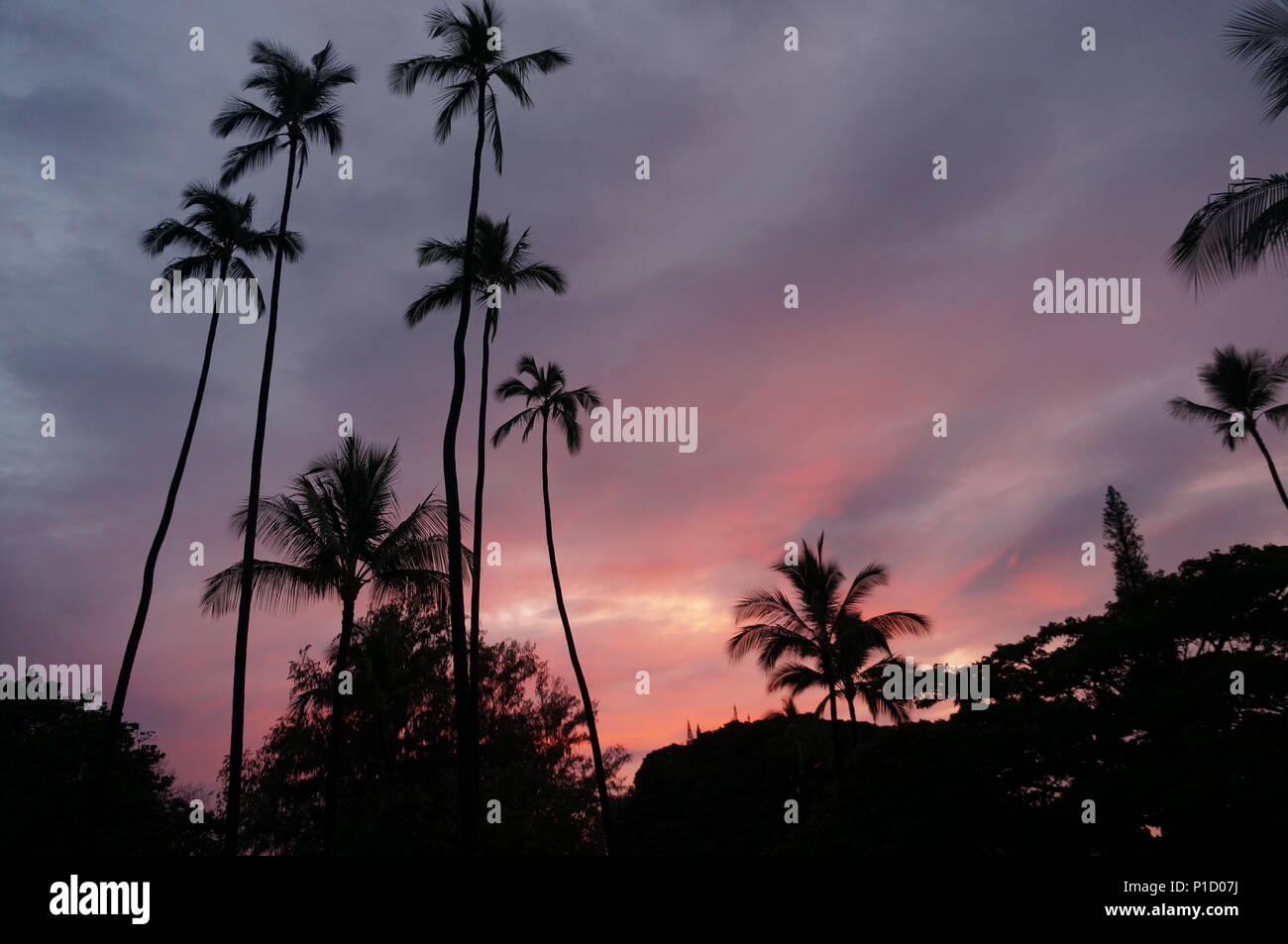 Pink and purple sunset in Kauai, Hawaii Stock Photo - Alamy