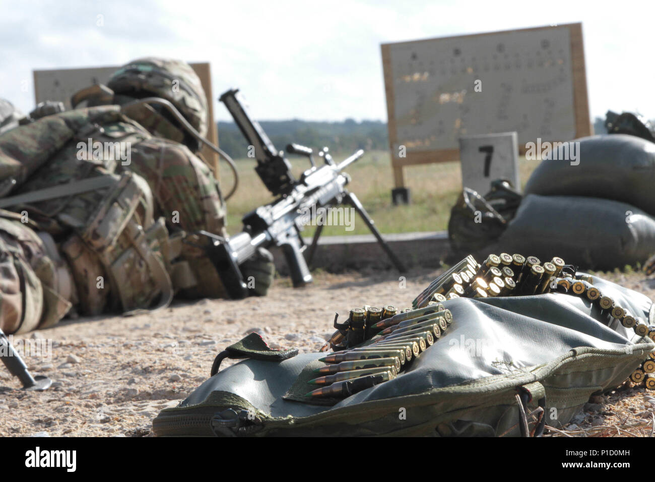 The 355th Chemical Company based out of Las Vegas, Nevada, conducted ...