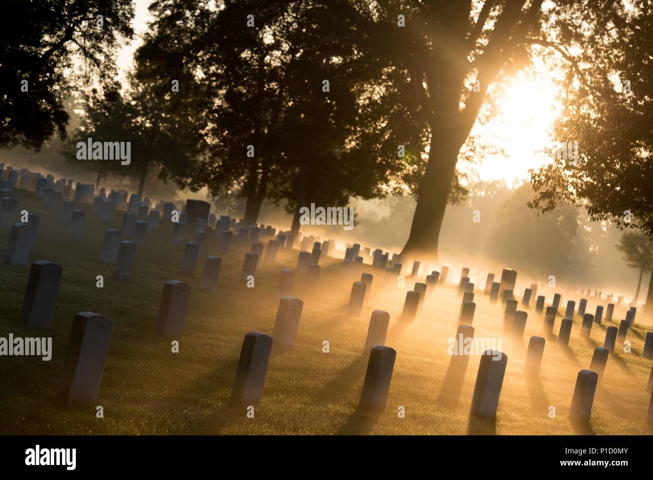 The low rising sun coupled with the fall colors of the trees blanket ...
