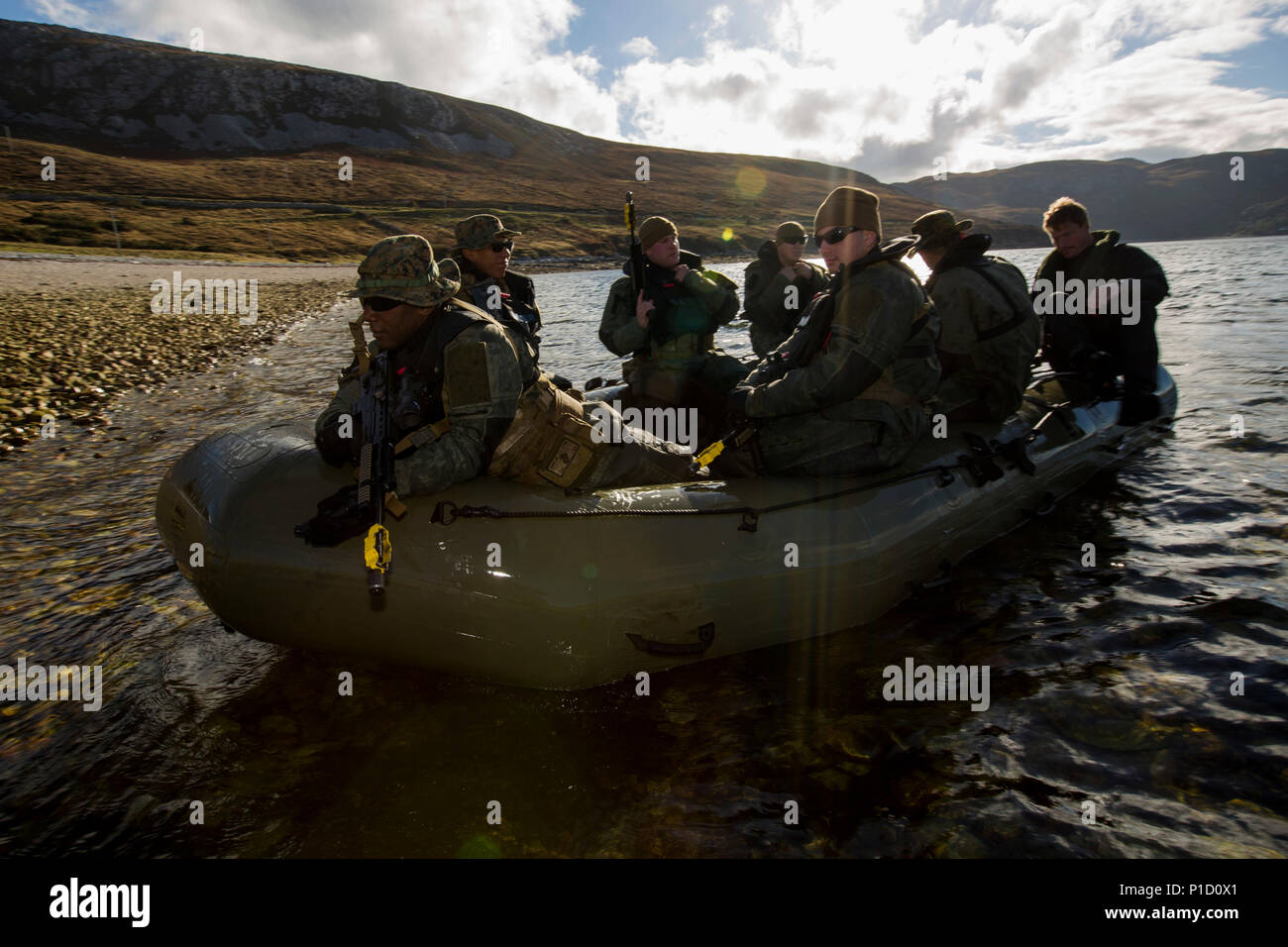 U.S. Marines with 2nd Air Naval Gunfire Liaison Company (2d ANGLICO ...