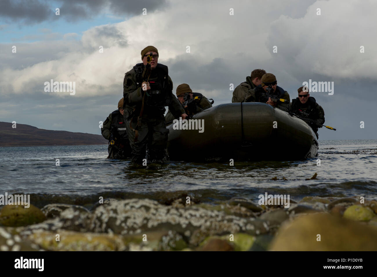 U.S. Marines with 2nd Air Naval Gunfire Liaison Company (2d ANGLICO ...