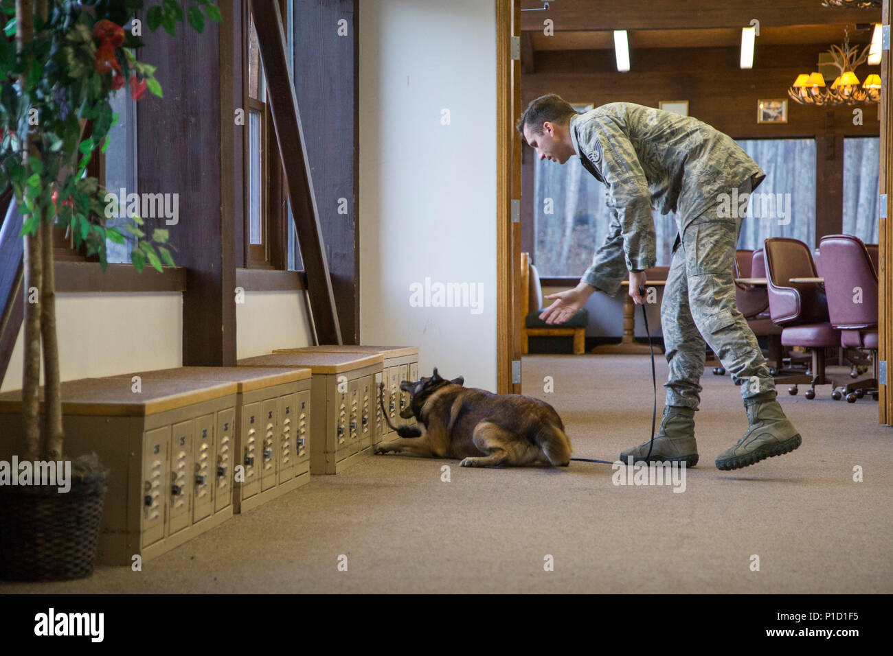 673rd security forces squadron hi-res stock photography and images - Alamy