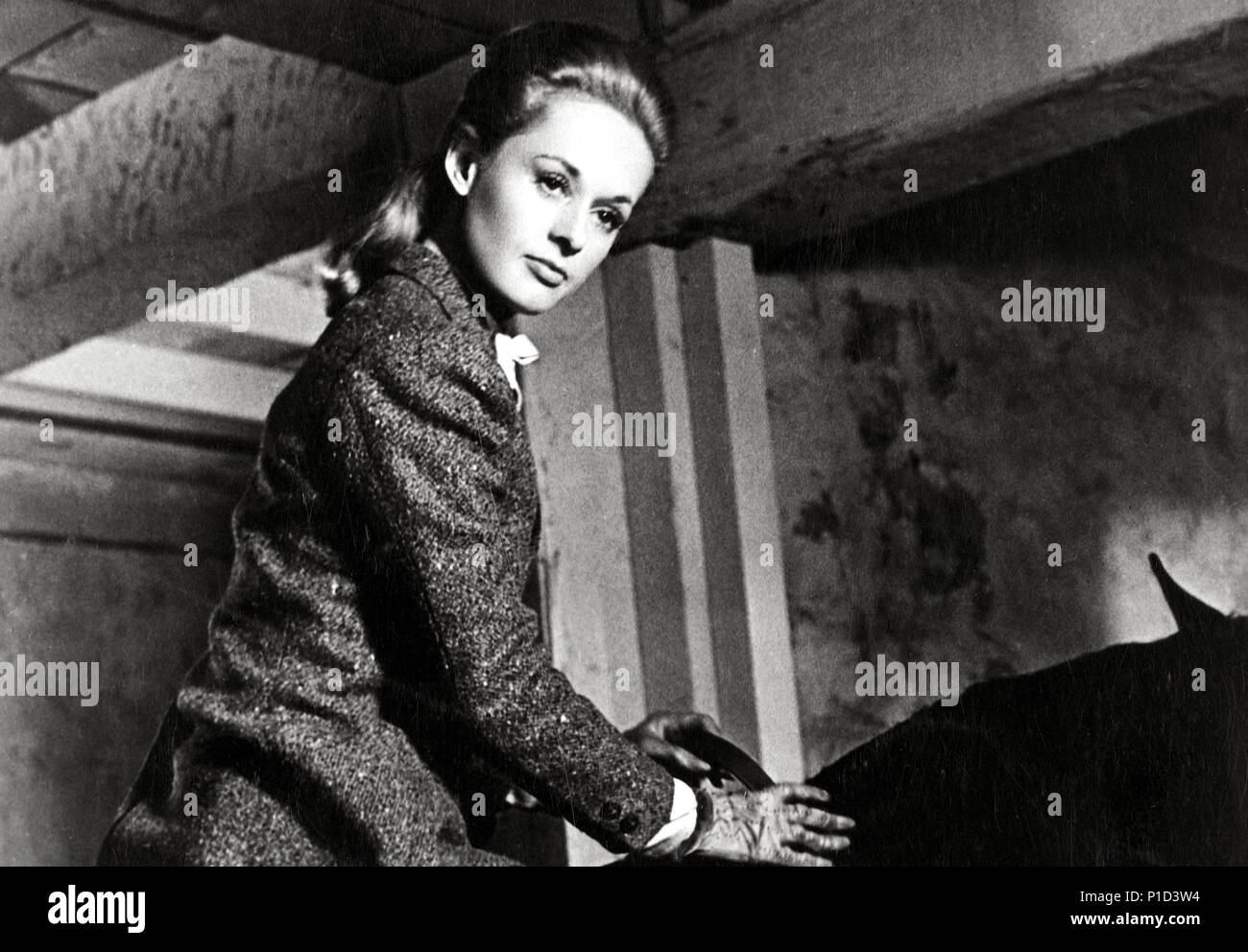 Original Film Title: MARNIE. English Title: MARNIE. Film Director ...