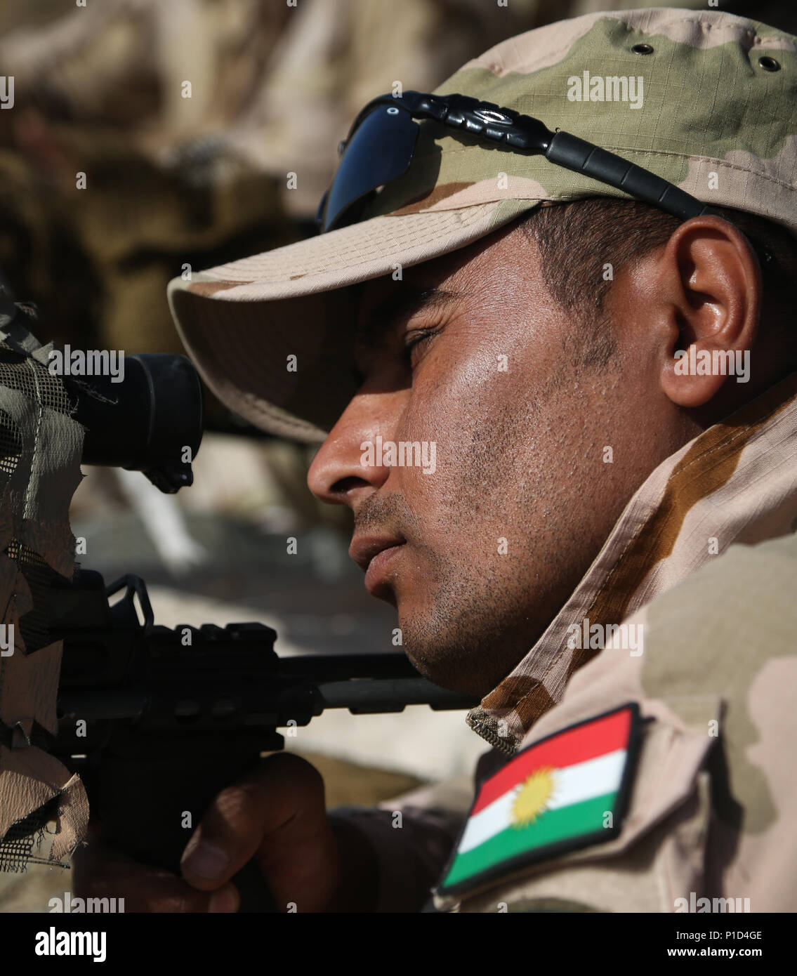 A Peshmerga soldier looks for a target using the sight on his M14 ...