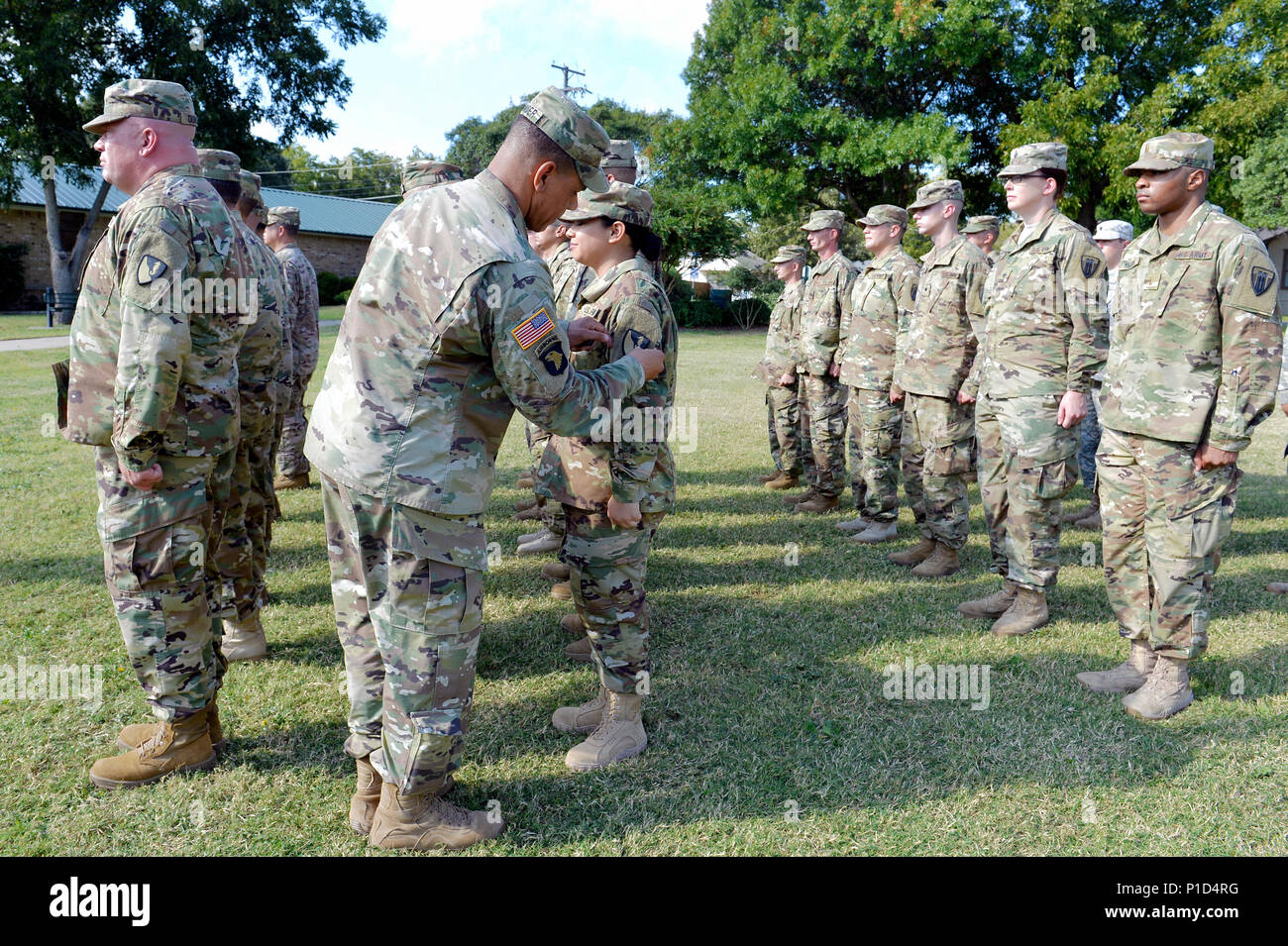 Col quander hi-res stock photography and images - Alamy