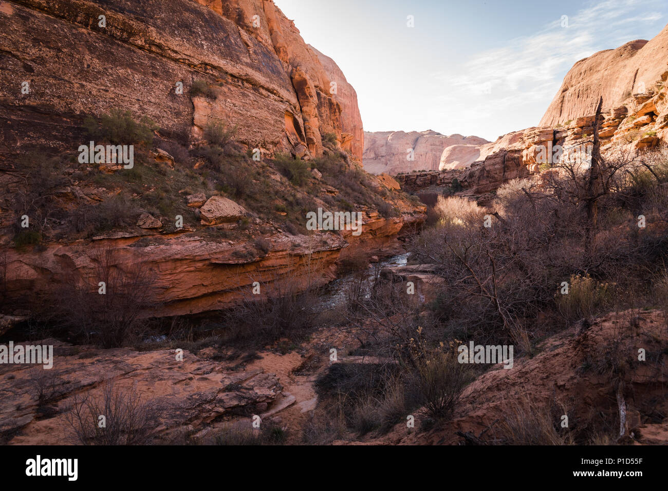 Landscape view in a valley on a trail in Moab, Utah Stock Photo - Alamy