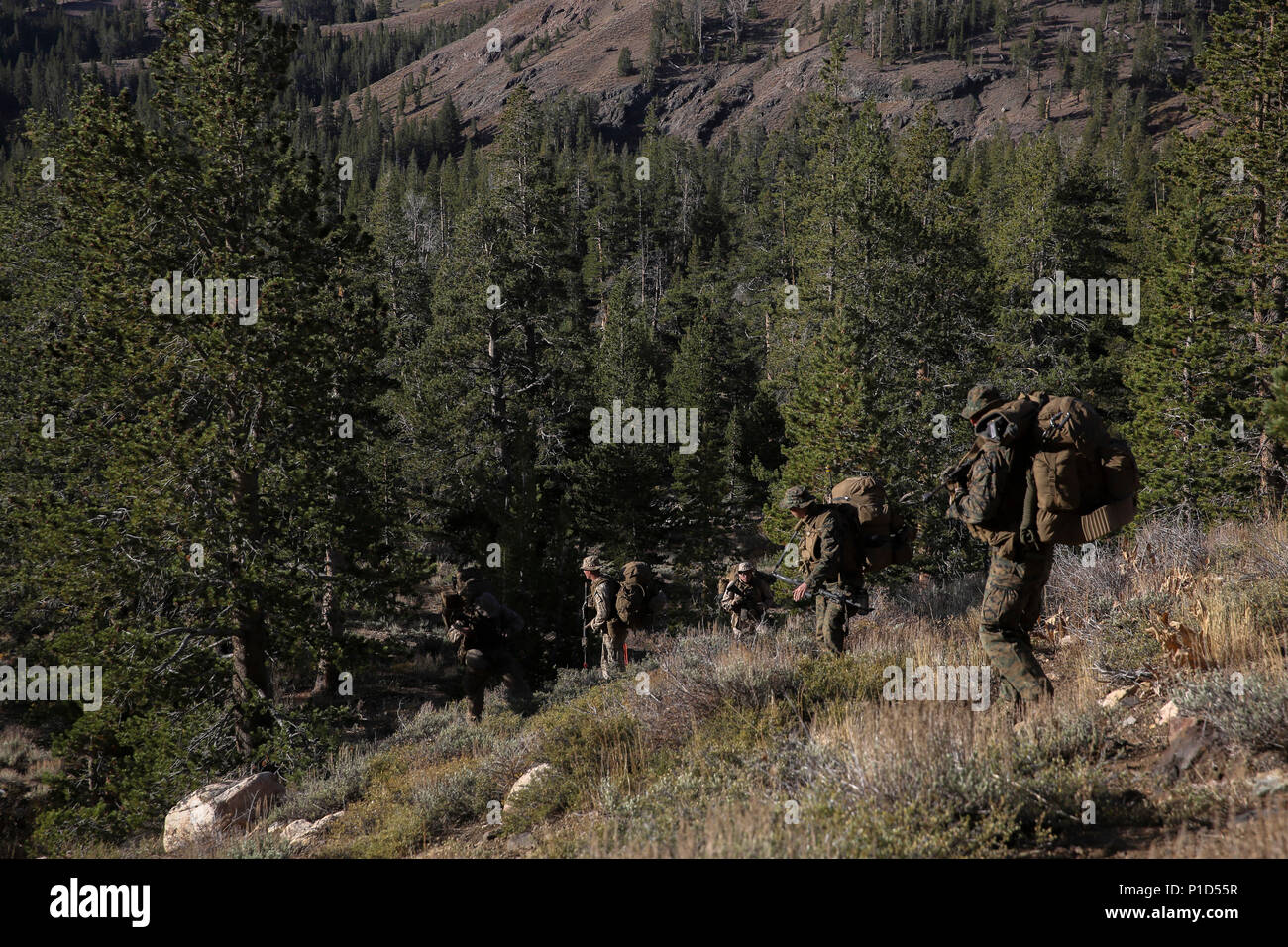 Marines with Company L, 3rd Battalion, 4th Marine Regiment, maneuver ...