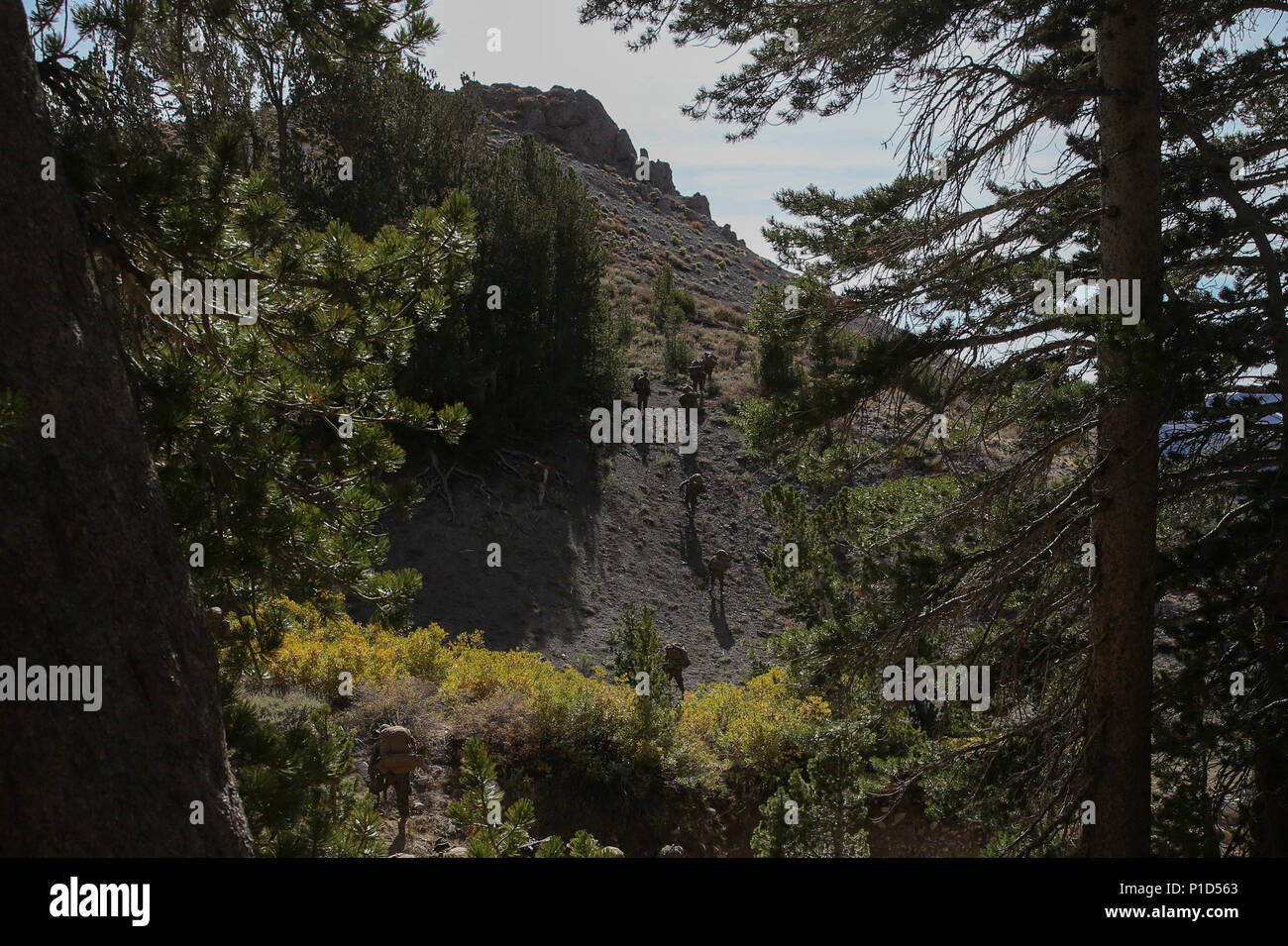 Marines with Company L, 3rd Battalion, 4th Marine Regiment, traverse ...