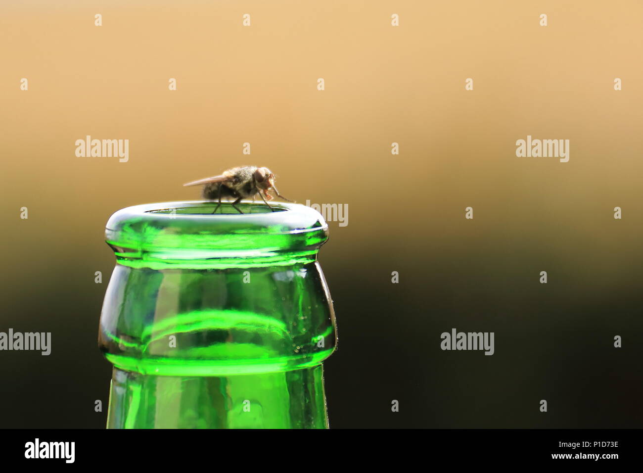 Alcohol sensor hi-res stock photography and images - Alamy