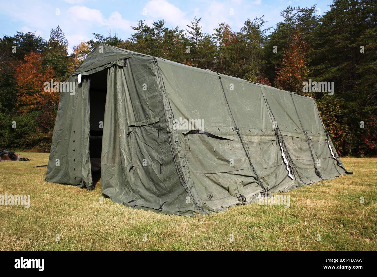 Cat dozer hi-res stock photography and images - Alamy