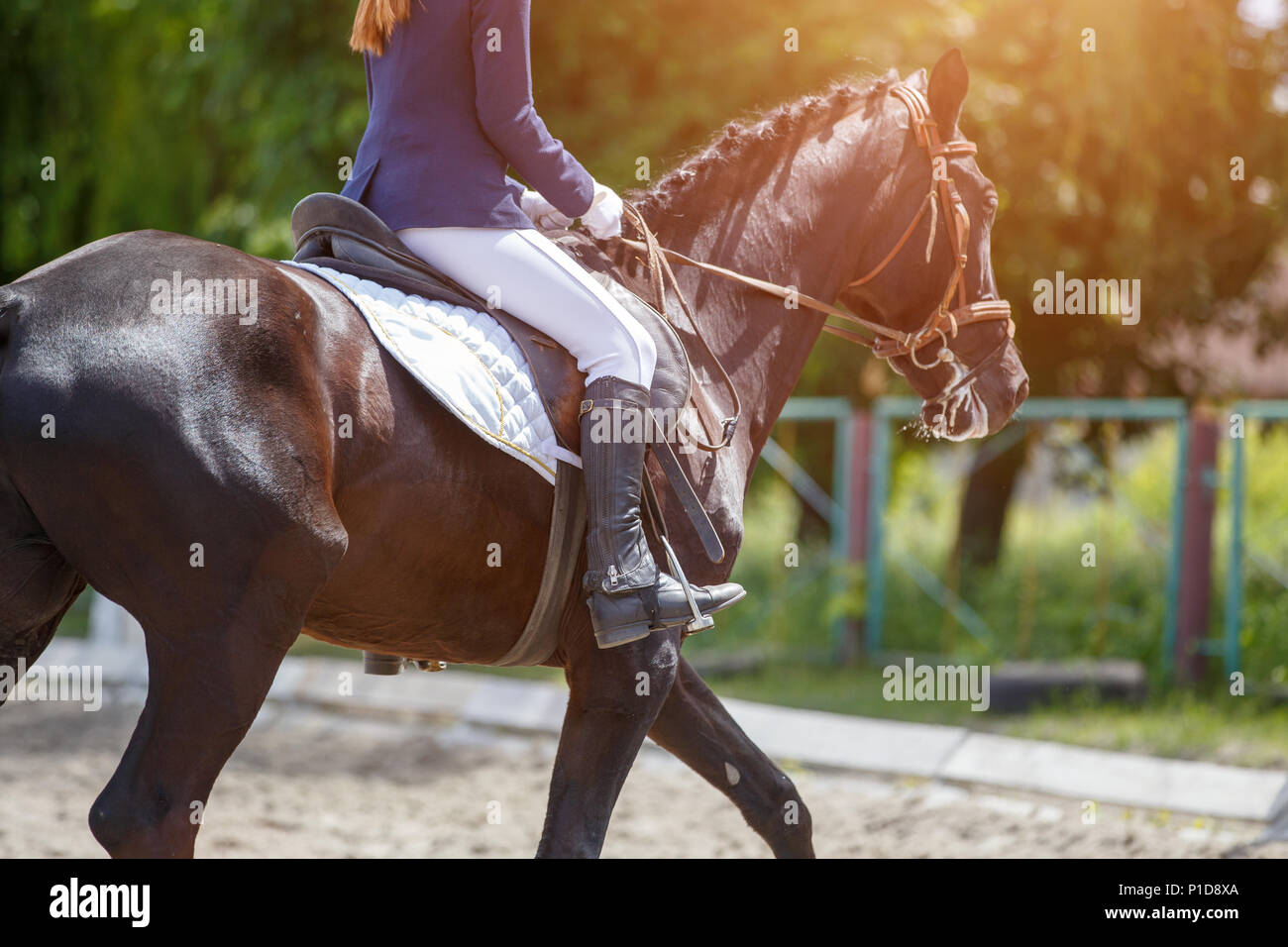 Young girl riding horse on equestrian competition. Equestrian dressage ...