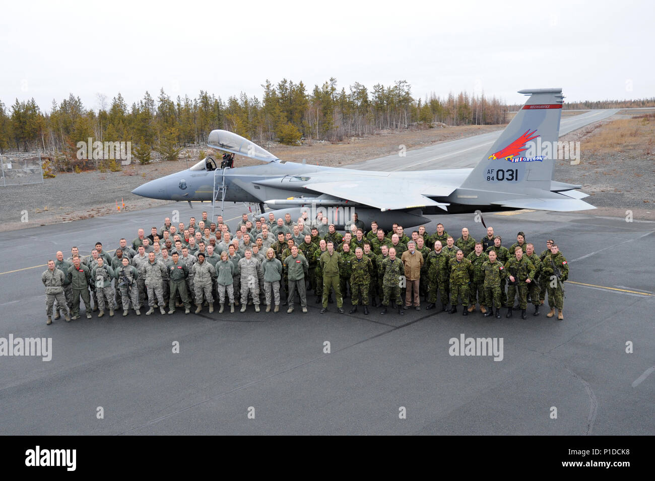 Participants of Exercise Vigilant Shield 2017, Yellowknife, Northwest ...