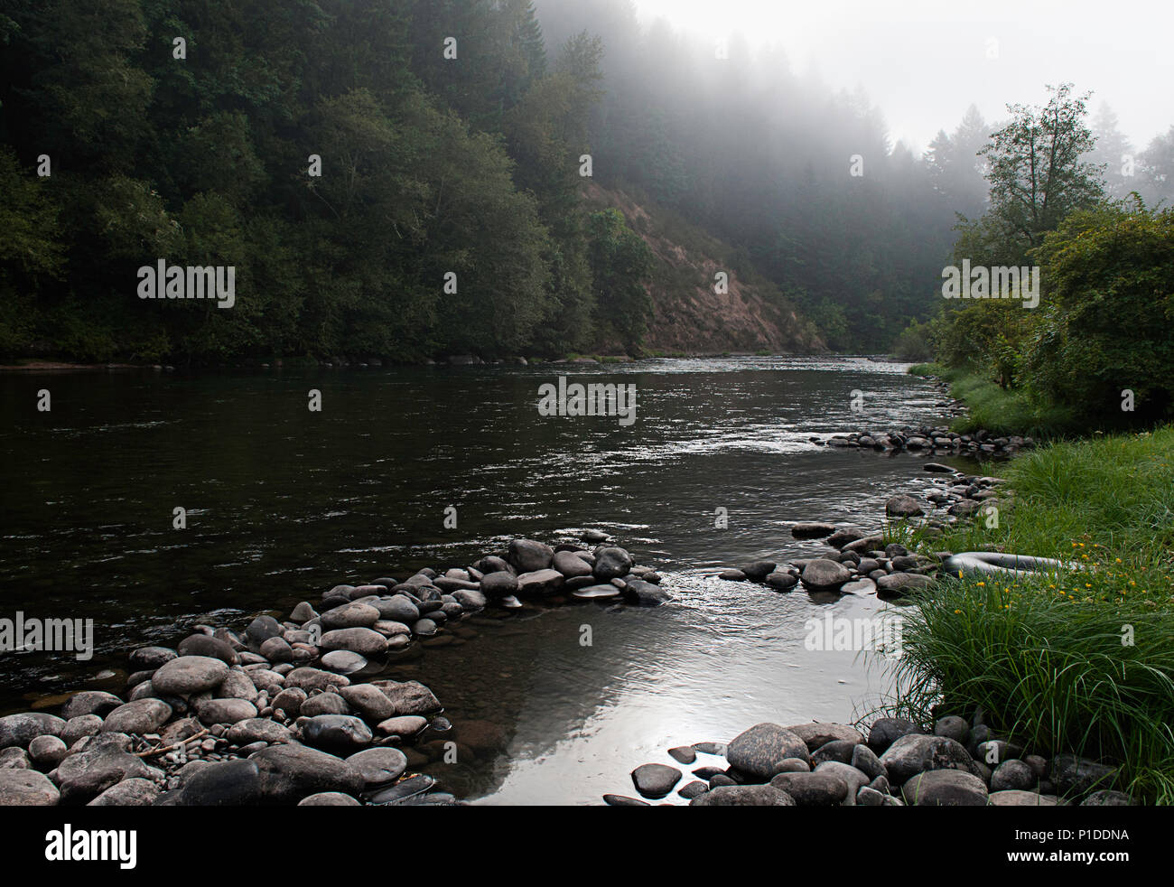 The North branch of the Santiam River in Oregon Stock Photo - Alamy