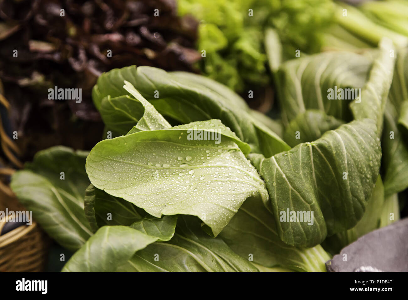 Raw and wet spinach leaves, green vegetable detail, healthy food, diet ...