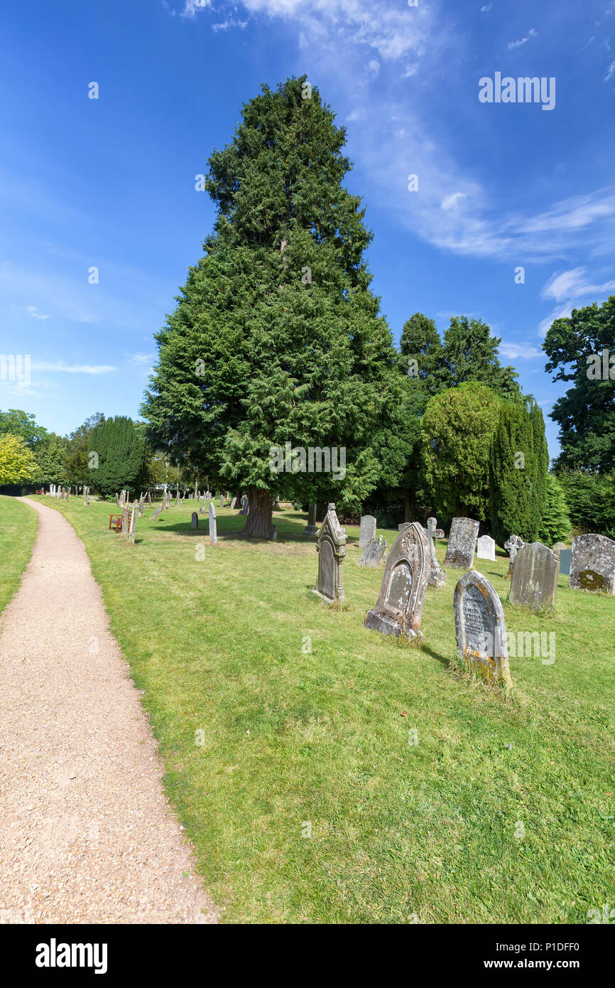 The Saxon Sanctuary cemetery in England Stock Photo - Alamy