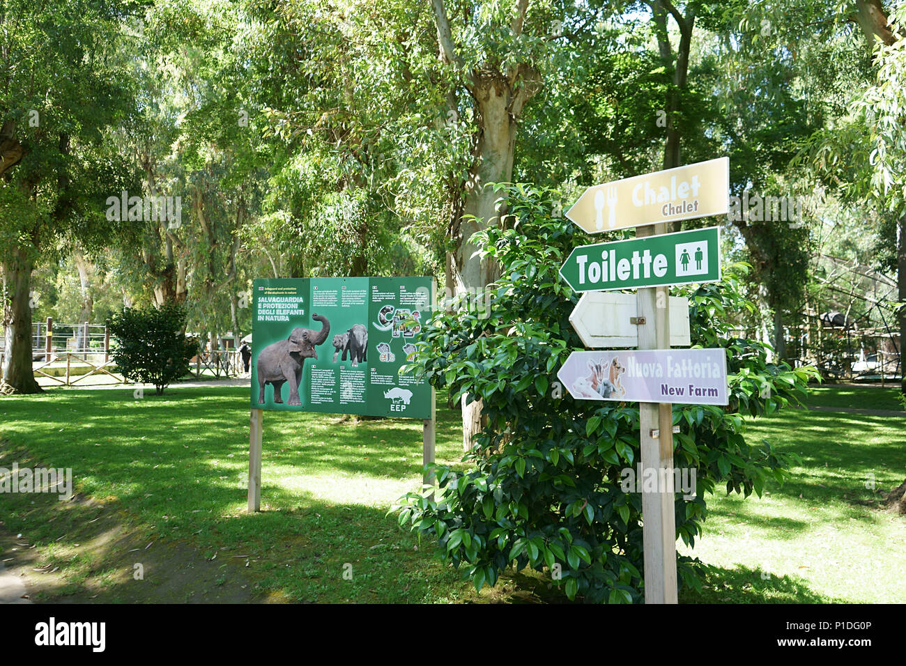 Naples zoo hi-res stock photography and images - Alamy