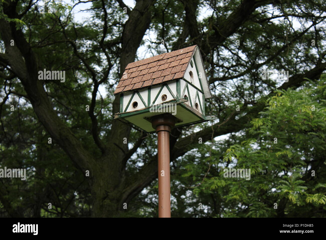 Purple martin birdhouse hi-res stock photography and images - Alamy