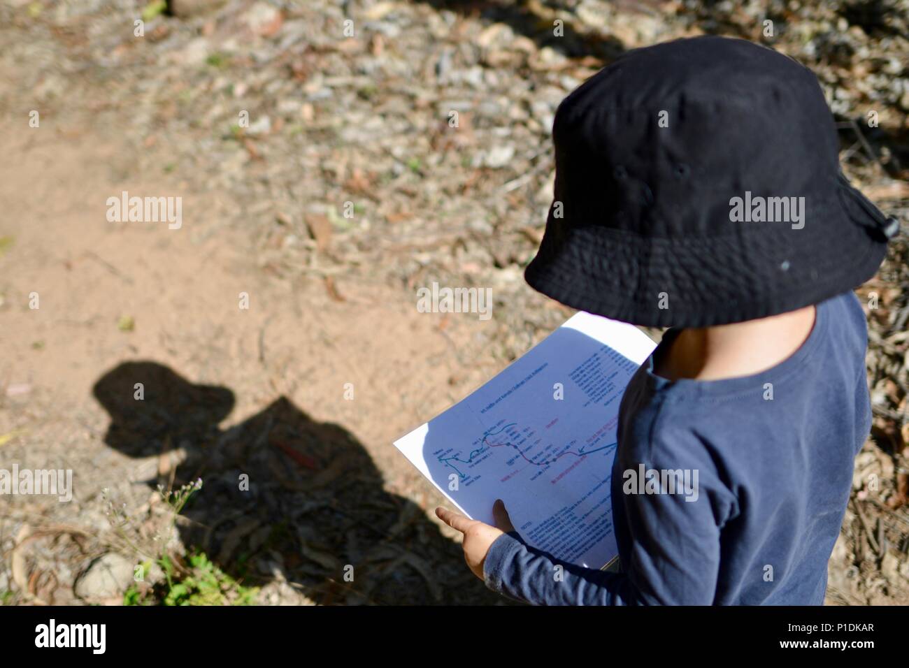 Young girl walks with a map on a track through a forest, Paluma Range ...