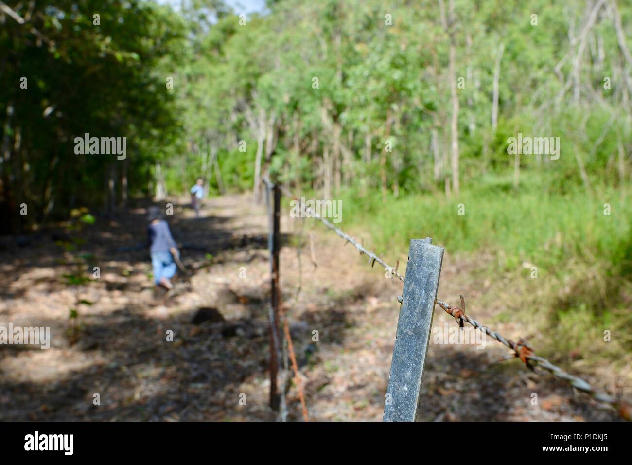 Galvanized fence with barbed wire in the australian bush hi-res stock ...