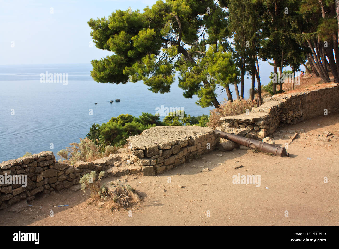 Paragaea hi-res stock photography and images - Alamy