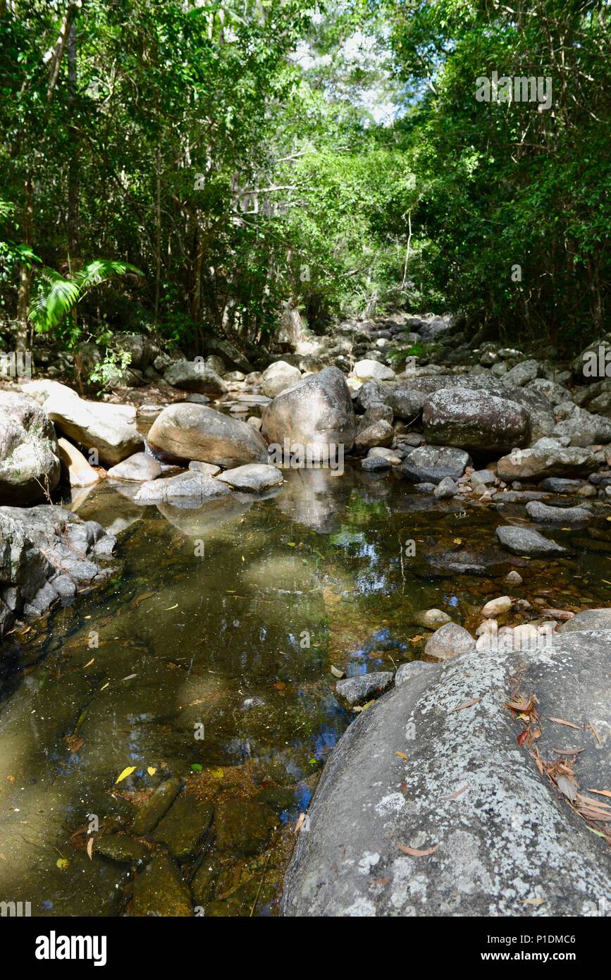 Upper reaches of Rollingstone creek, Paluma Range National Park ...