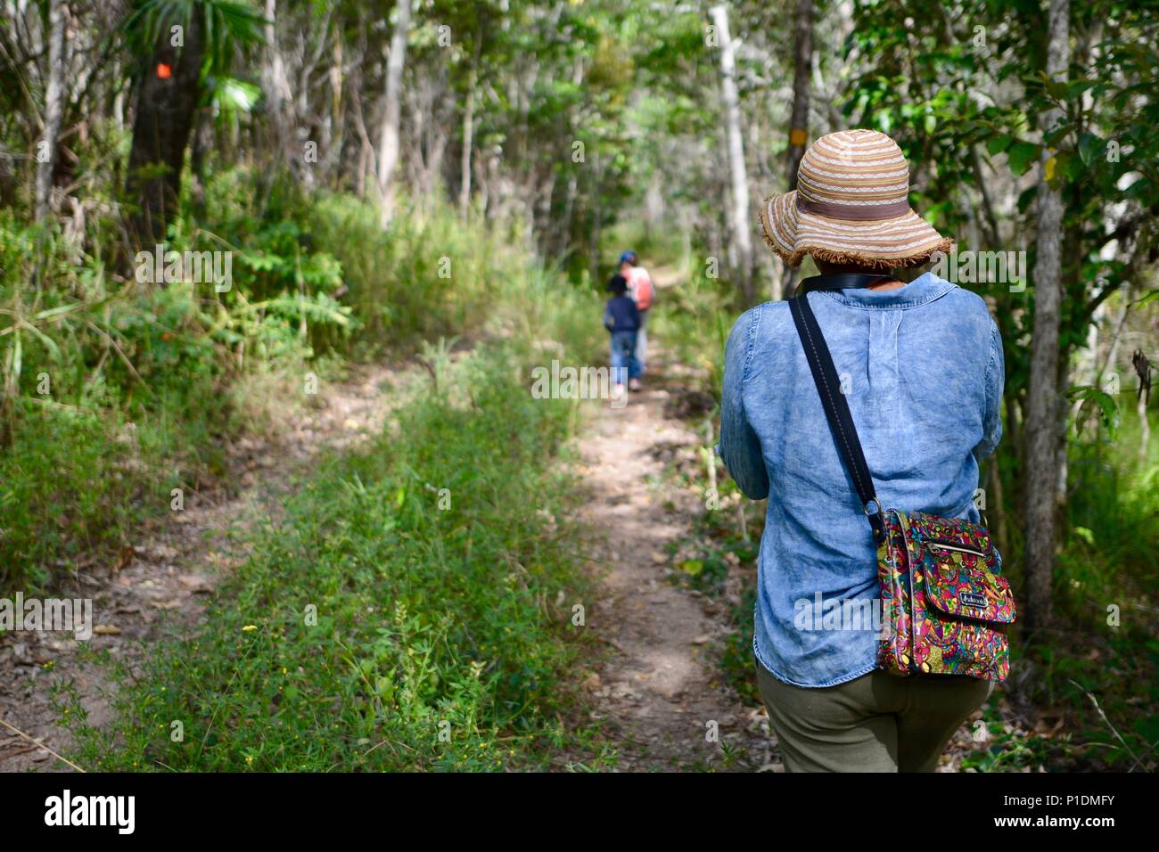 Mother and daughters walk through a forest, Paluma Range National Park ...