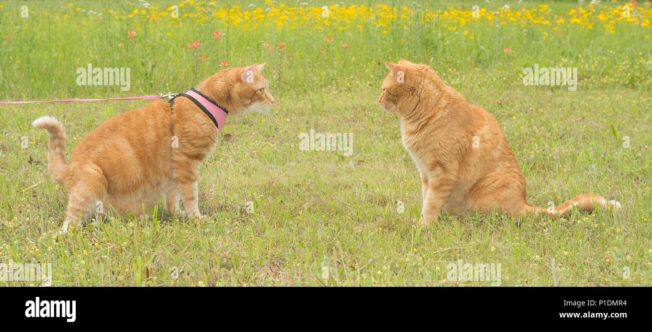 Apprehension hi-res stock photography and images - Alamy