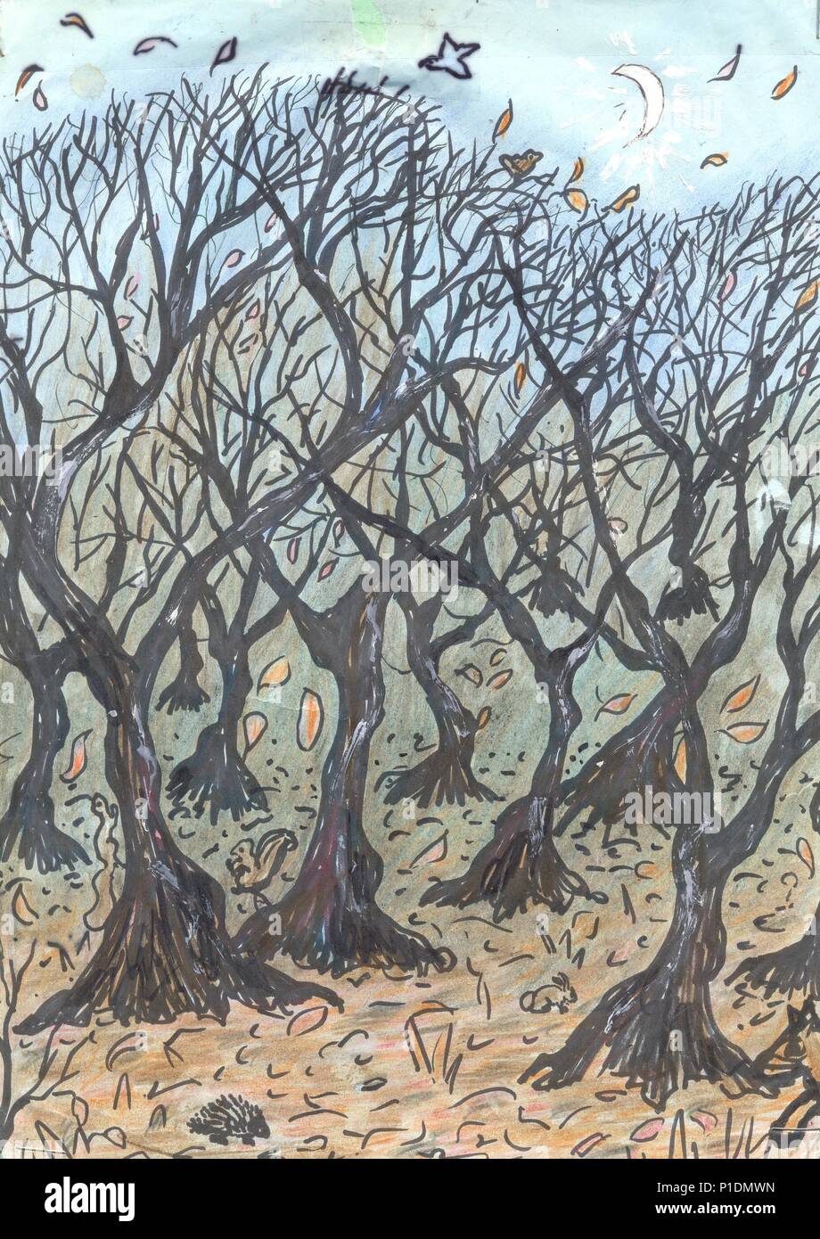 Moonlit woods hi-res stock photography and images - Alamy