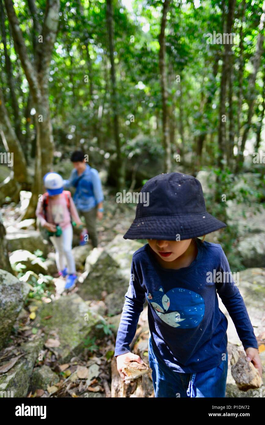 Mother and daughters walk through a rocky outcrop in a forest, Paluma ...