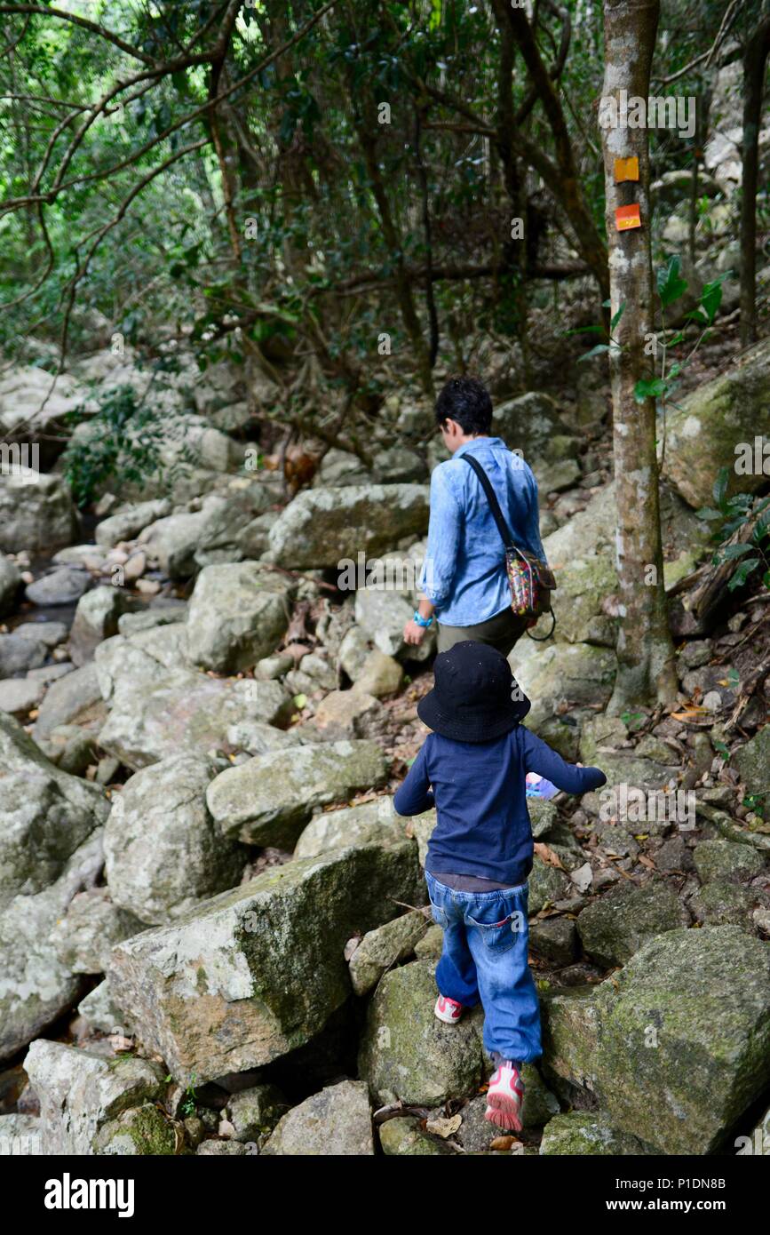 Mother and daughters walk through a rocky outcrop in a forest, Paluma ...