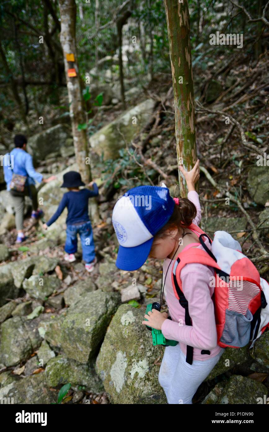 Mother and daughters walk through a rocky outcrop in a forest, Paluma ...