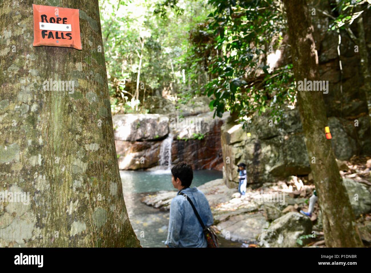 The beautiful isolated and untouched rope falls, Paluma Range National ...