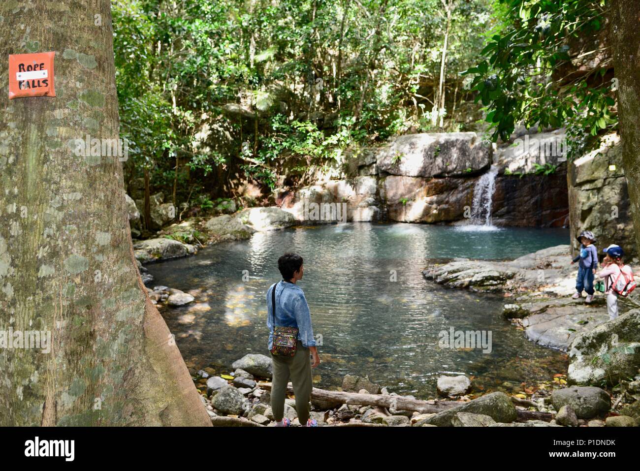 The beautiful isolated and untouched rope falls, Paluma Range National ...