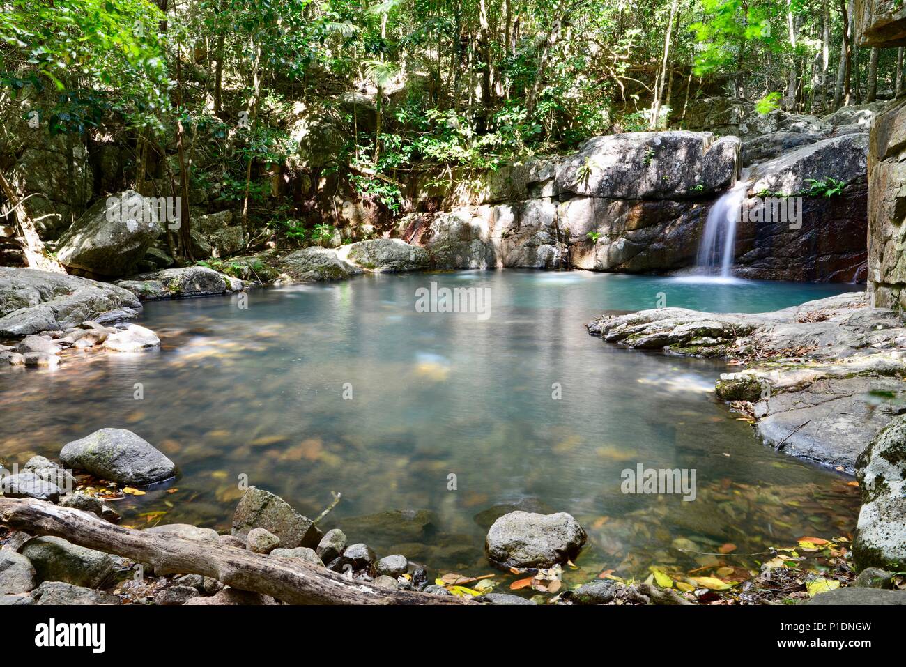 The beautiful isolated and untouched rope falls, Paluma Range National ...