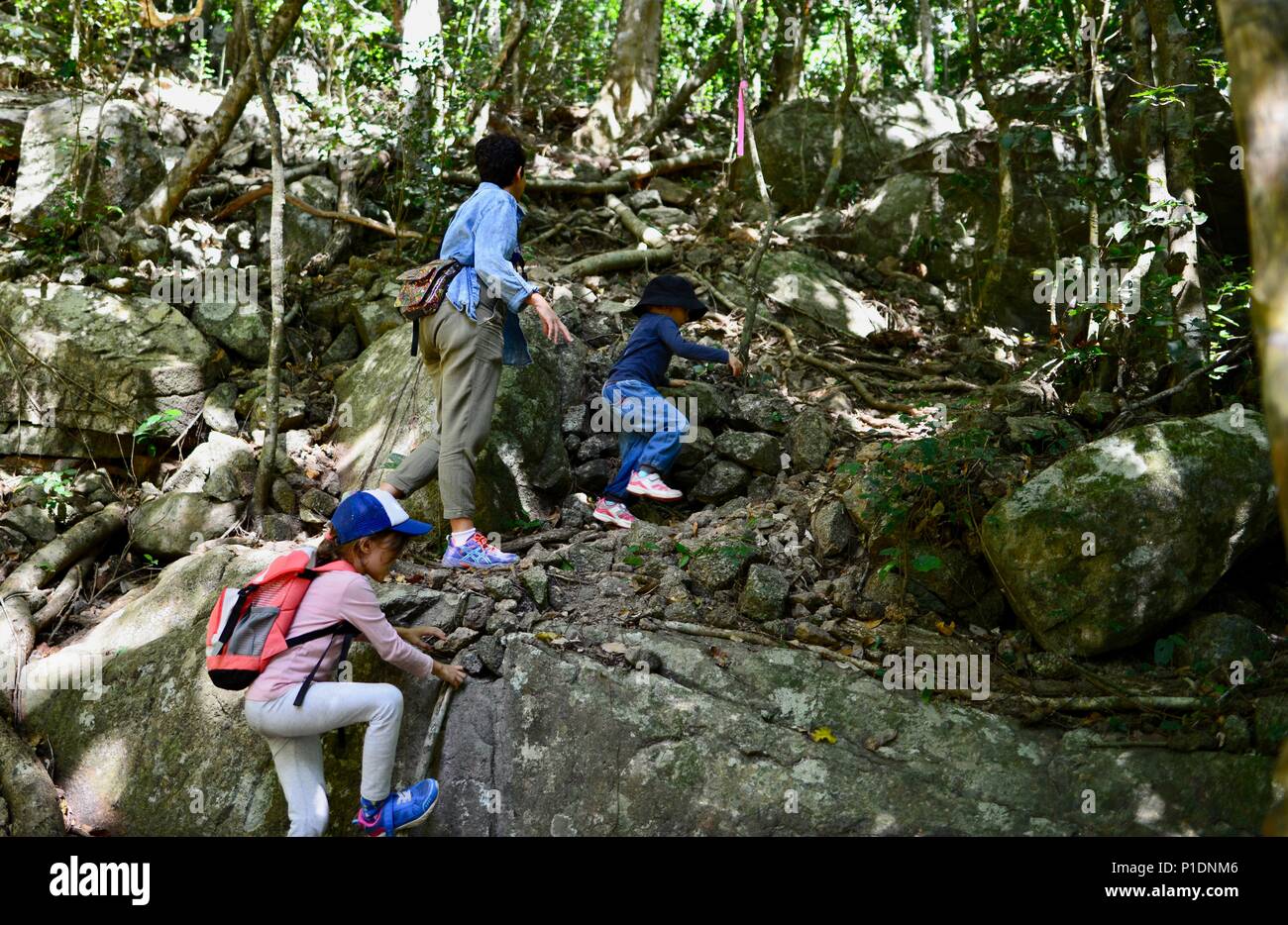 Mother and daughters walk through a rocky outcrop in a forest, Paluma ...