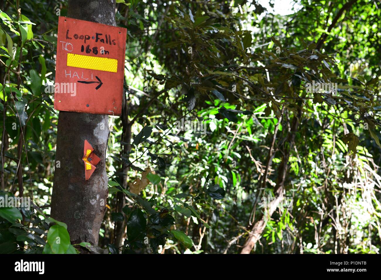 Mount halifax walking trail hi-res stock photography and images - Alamy