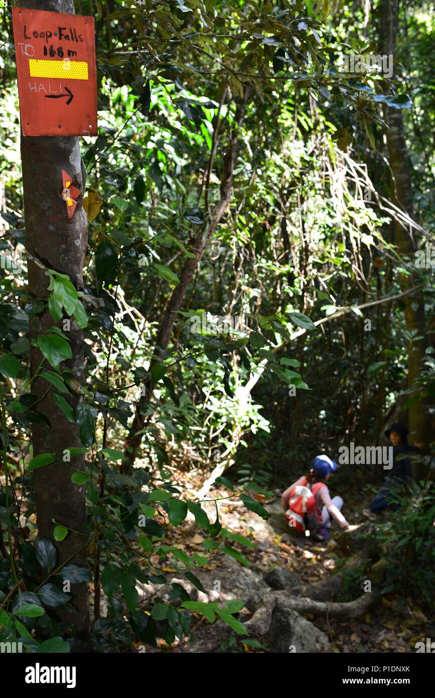 Loop falls sign on the way to Mount Halifax, Paluma Range National Park ...
