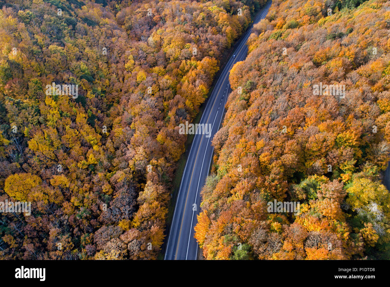 Autumn colour, Manuka Gorge, Otago, South Island, New Zealand - aerial ...