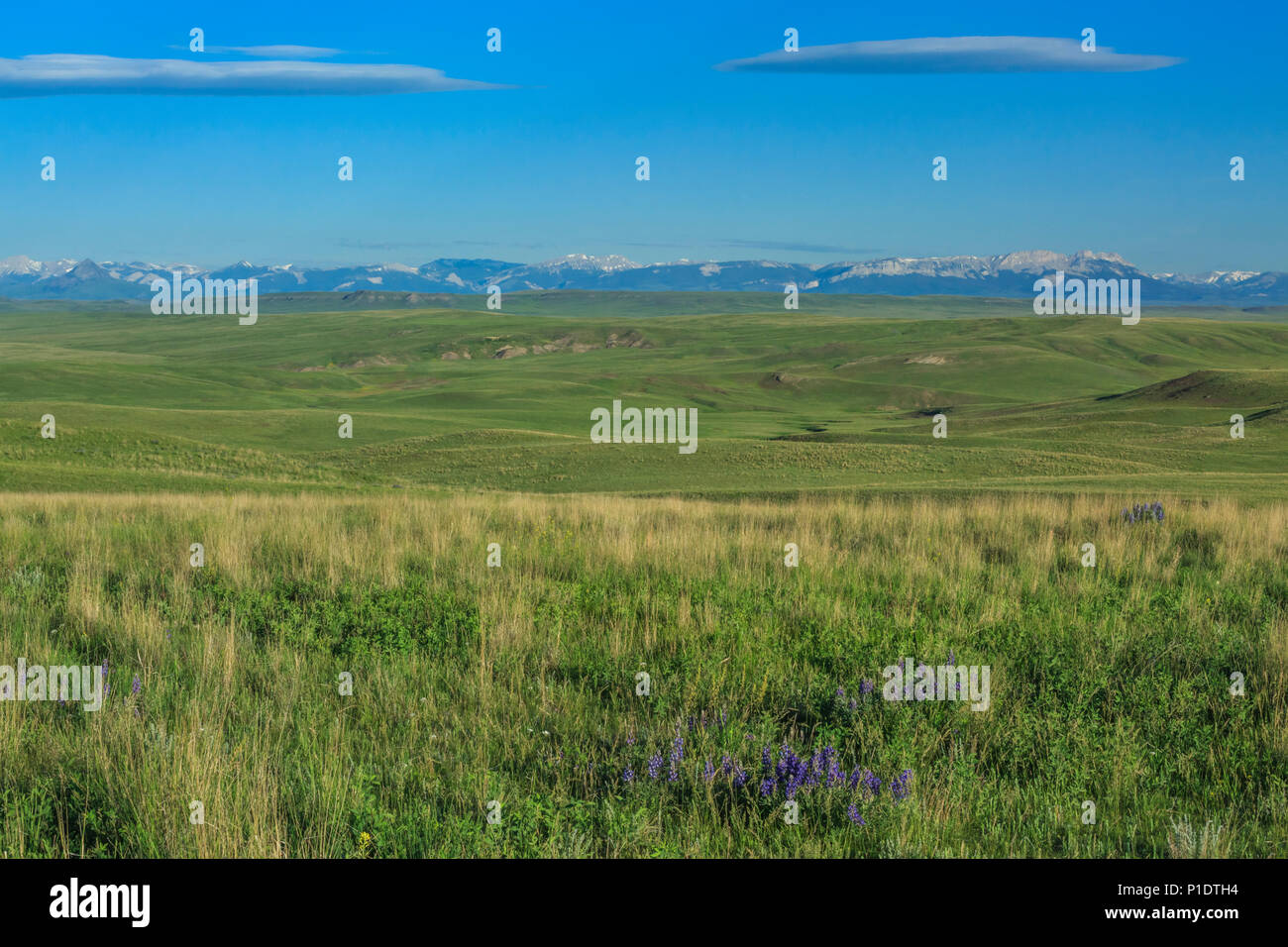 vast prairie below the rocky mountain front near simms, montana Stock ...