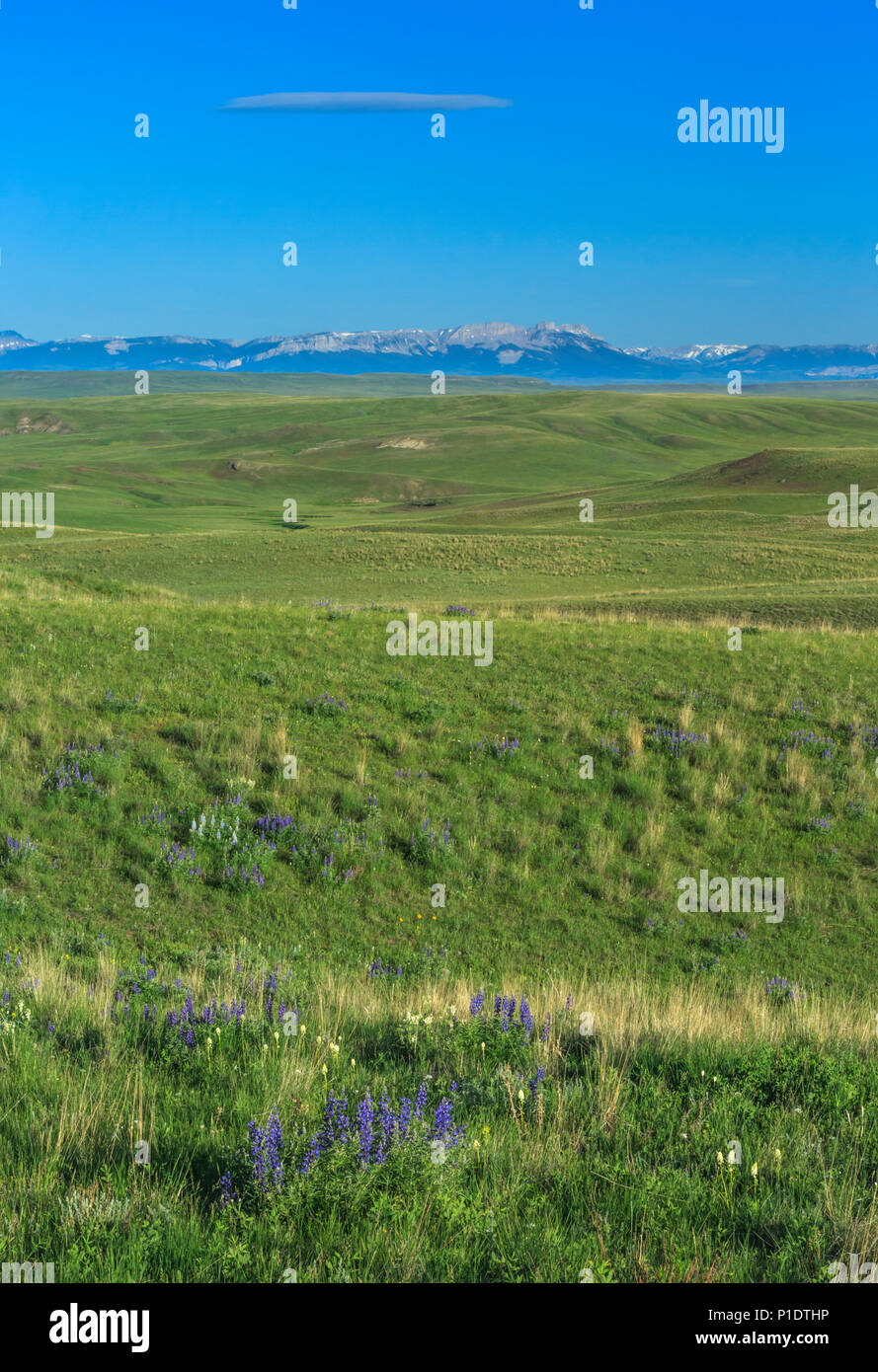 Rocky mountain west hi-res stock photography and images - Alamy