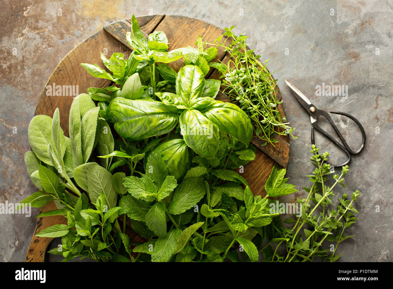 Cooking with fresh herbs Stock Photo - Alamy