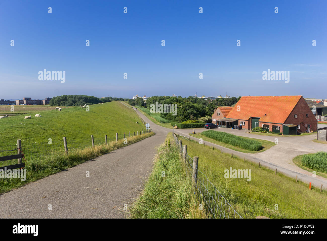 Road going along a dike on Texel island, Holland Stock Photo - Alamy