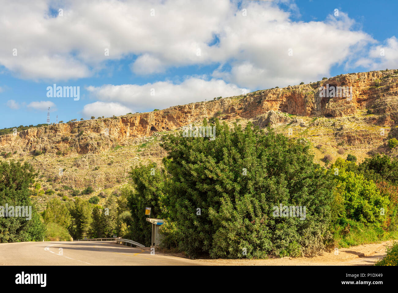 The Israeli landscape. Blue sky, red mountains and bright greenery ...