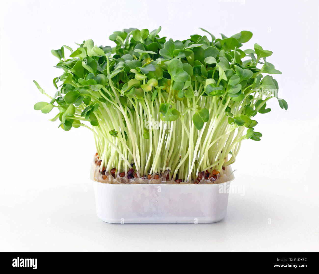 Fresh Edible Healthy Watercress in Tray Stock Photo - Alamy