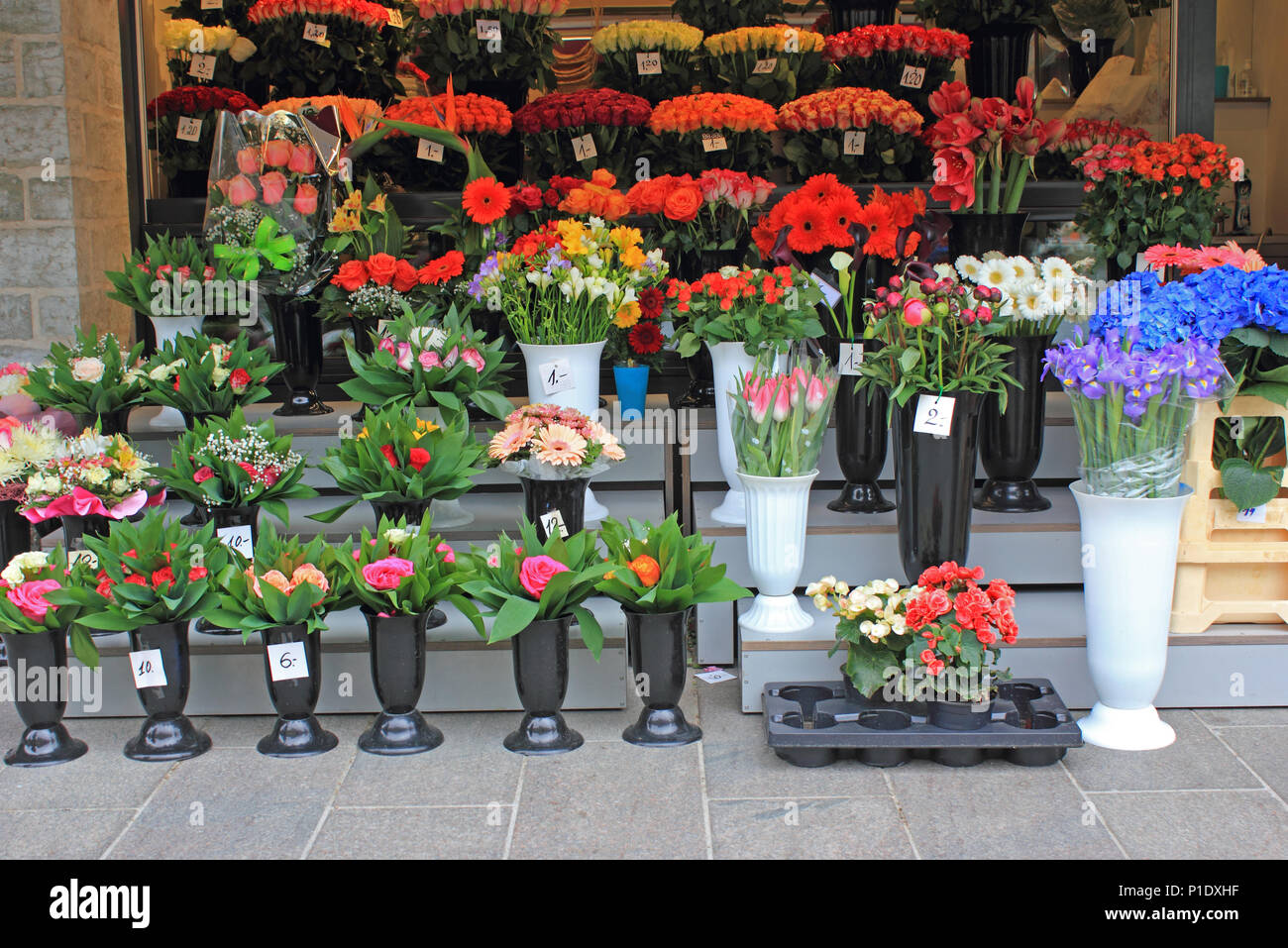 Tallinn florist hi-res stock photography and images - Alamy