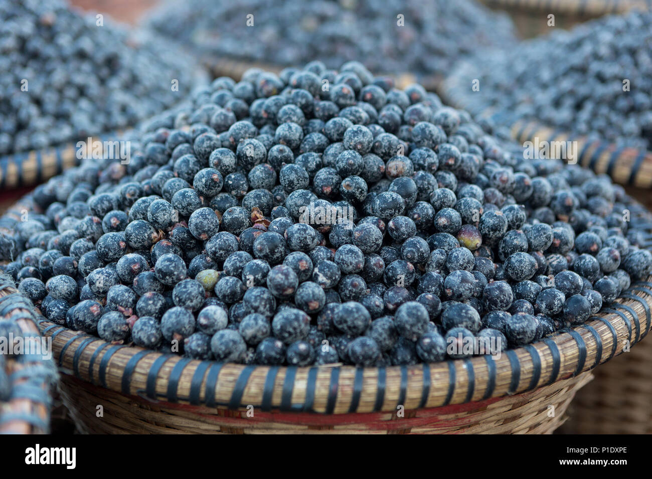 Acai fruit hi-res stock photography and images - Alamy